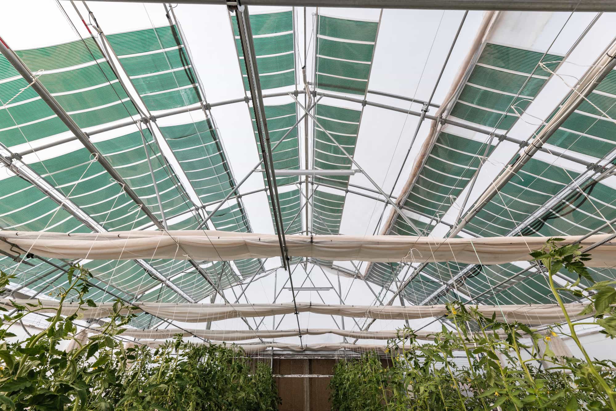 AgriVoltaics – OET